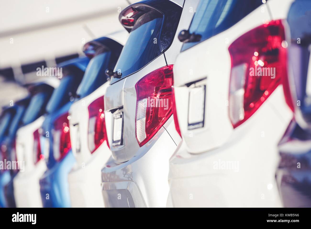 Car Dealer Business Concept. Row of Brand New Compact Cars on the ...