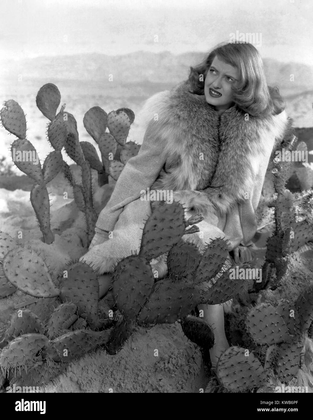 THE BRIDE CAME C.O.D., Bette Davis, 1941 Stock Photo - Alamy