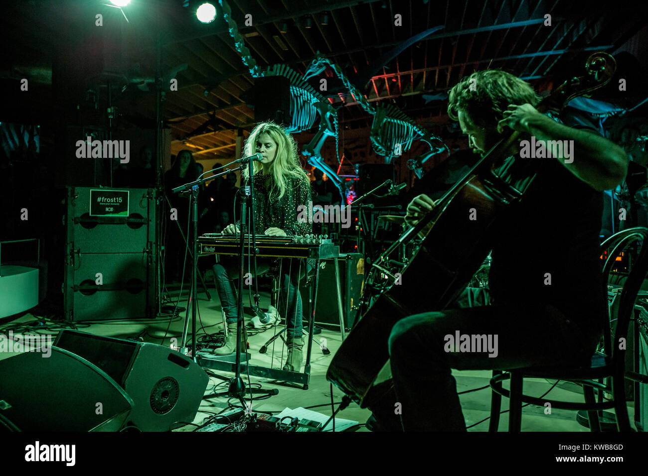 The Danish composer, singer and pedal steel guitarist Maggie Björklund ...