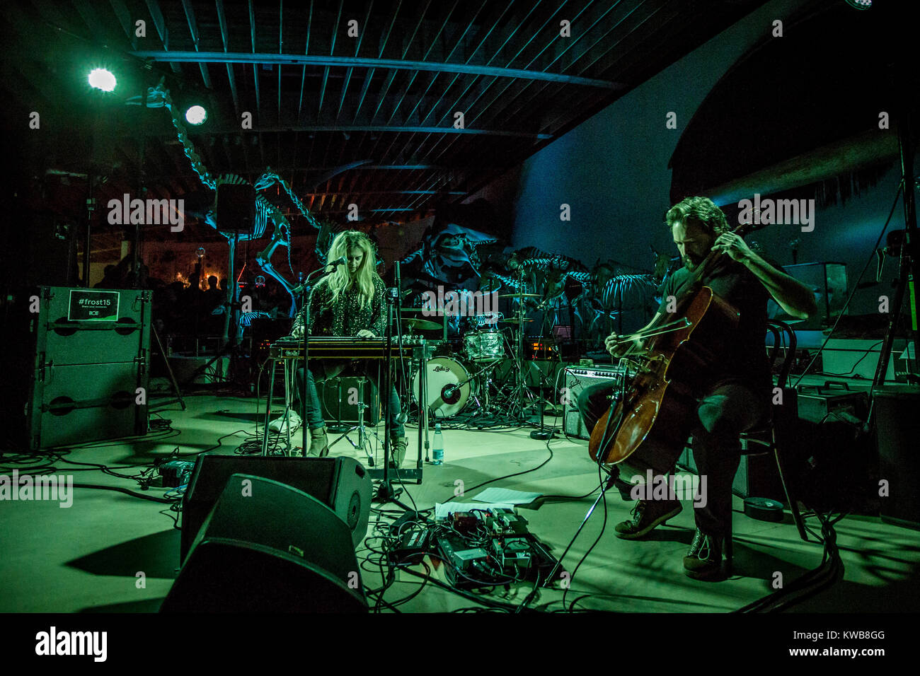 The Danish composer, singer and pedal steel guitarist Maggie Björklund ...