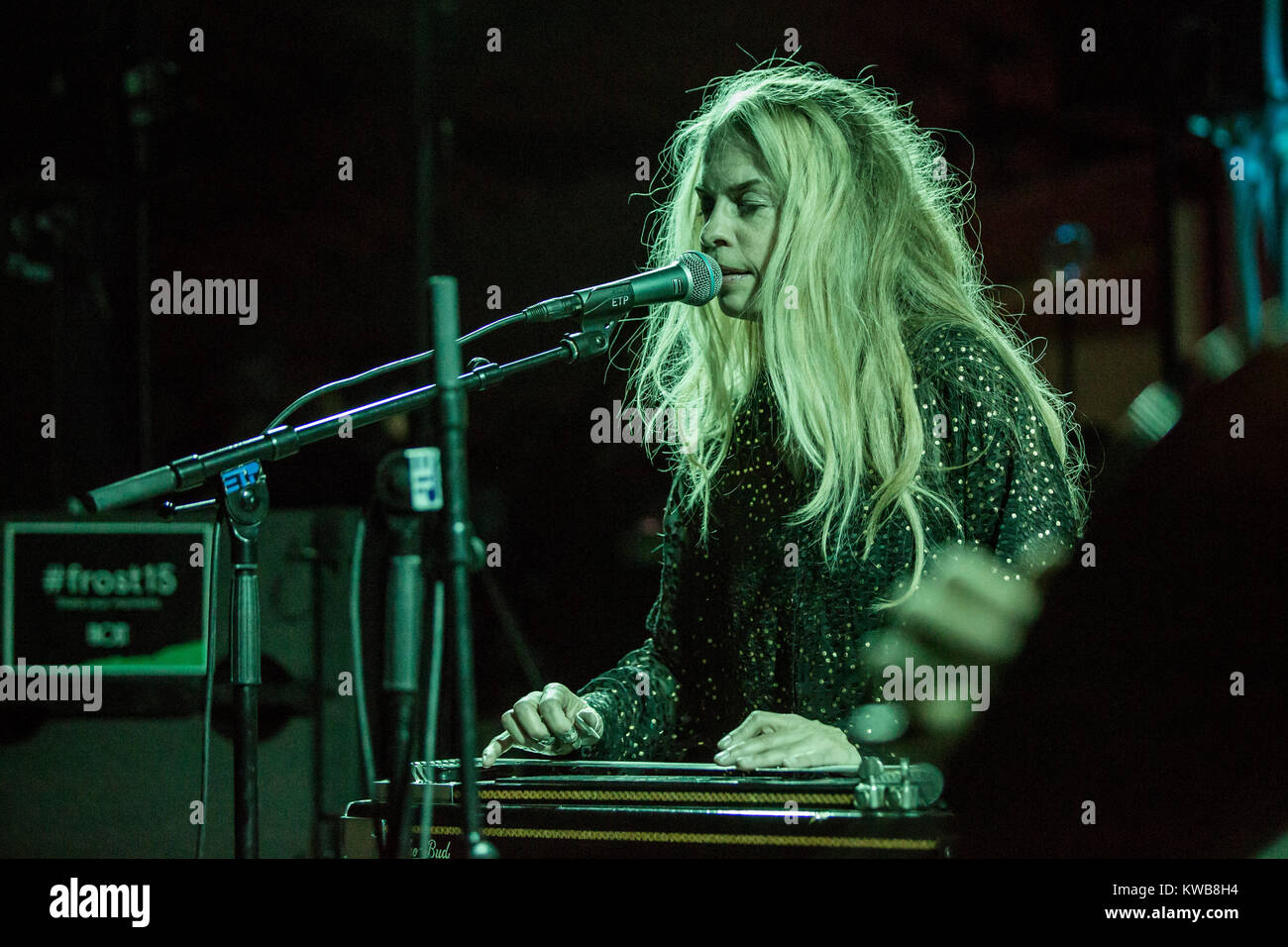 The Danish composer, singer and pedal steel guitarist Maggie Björklund ...