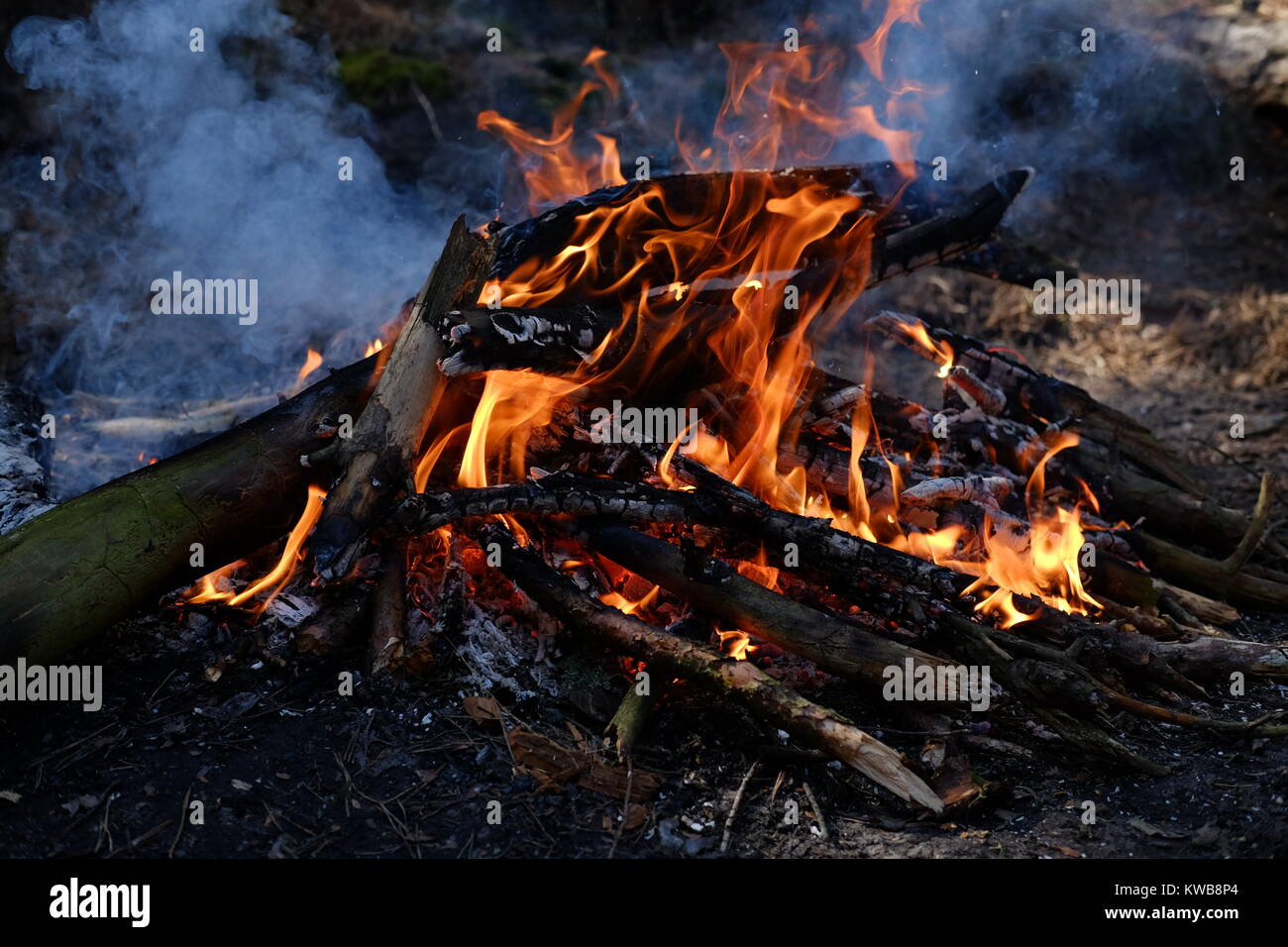 Fire in a wood Stock Photo - Alamy