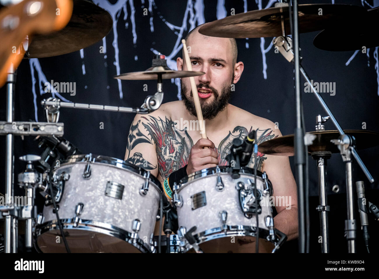 Orm band hi-res stock photography and images - Alamy