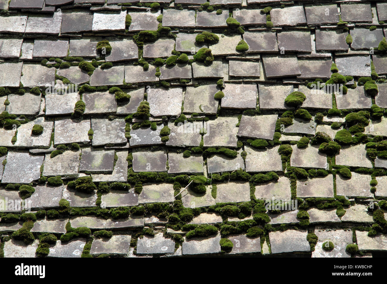 Old traditional roof in chinese village Stock Photo - Alamy
