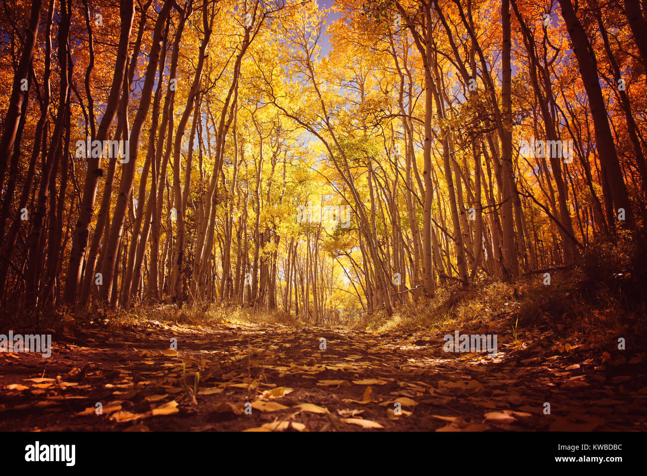 Explore the unexplored hi-res stock photography and images - Alamy