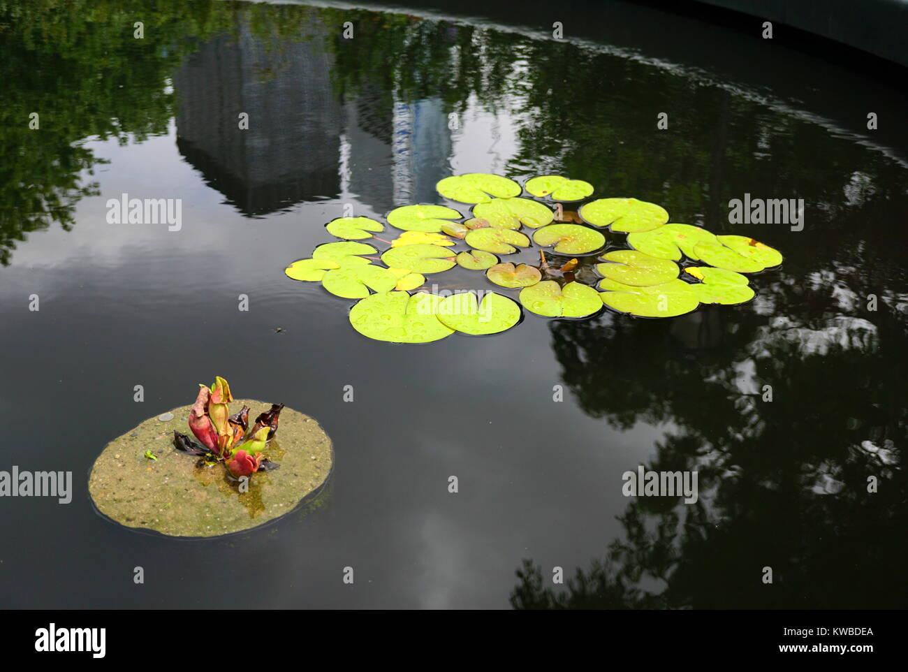 Still water and pond hi-res stock photography and images - Alamy