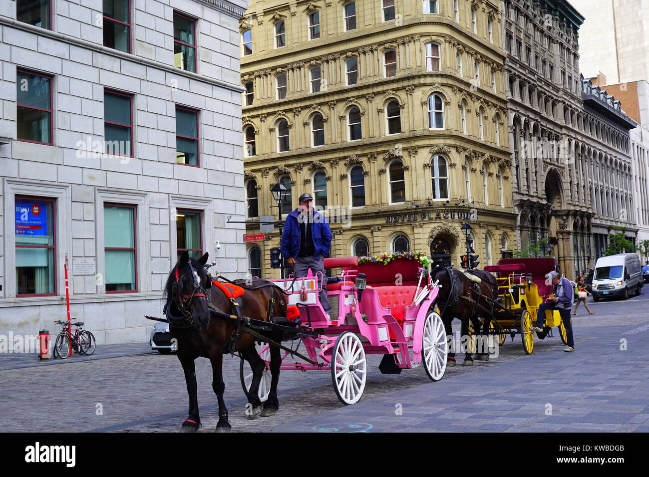 Canada horse landscape hi-res stock photography and images - Alamy