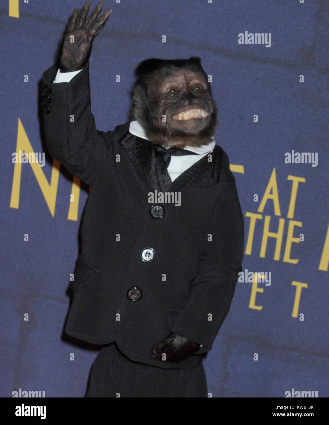 NEW YORK, NY - DECEMBER 11: Crystal The Monkey attends the 'Night At ...