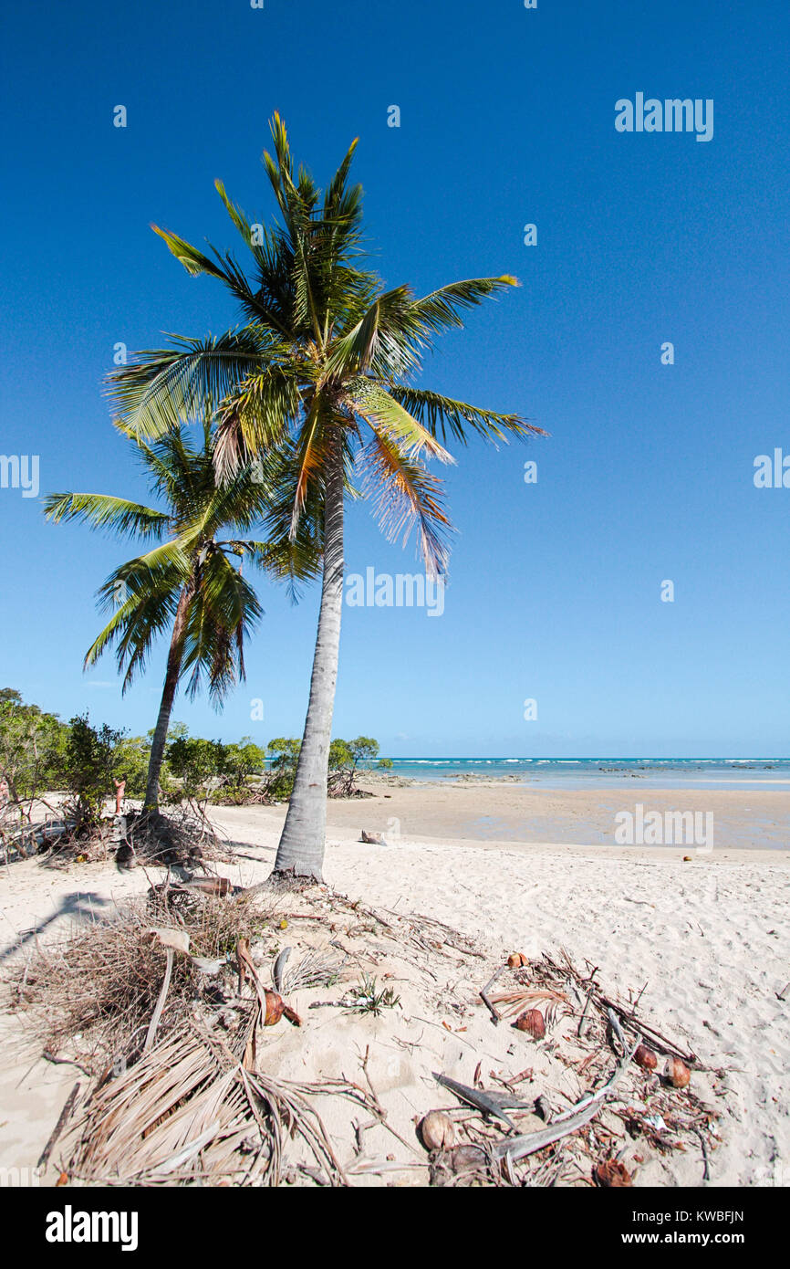 Summer time in beautiful Brazilian gem - the Morro de São Paulo Stock ...