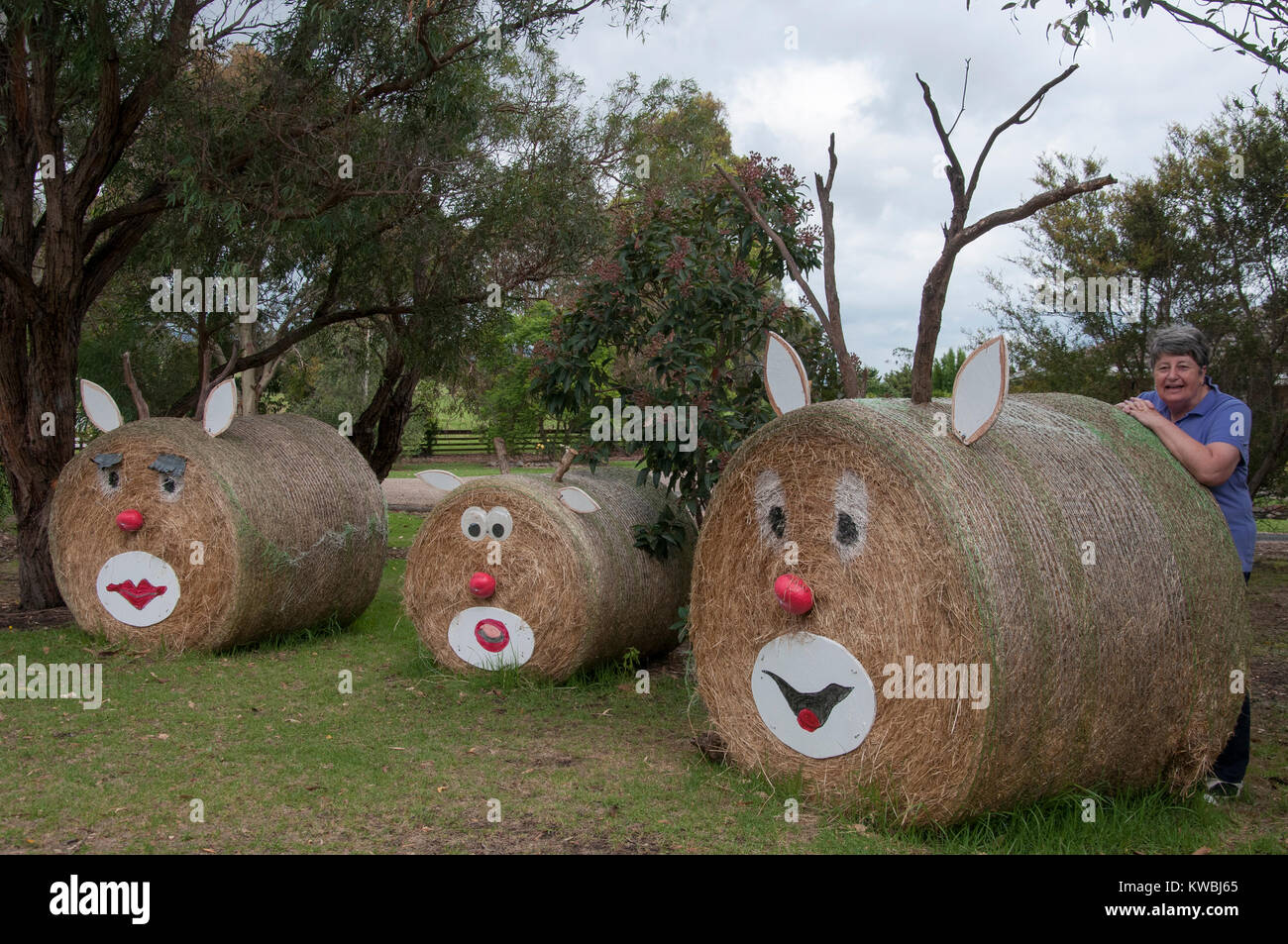 Rural south hi-res stock photography and images - Alamy