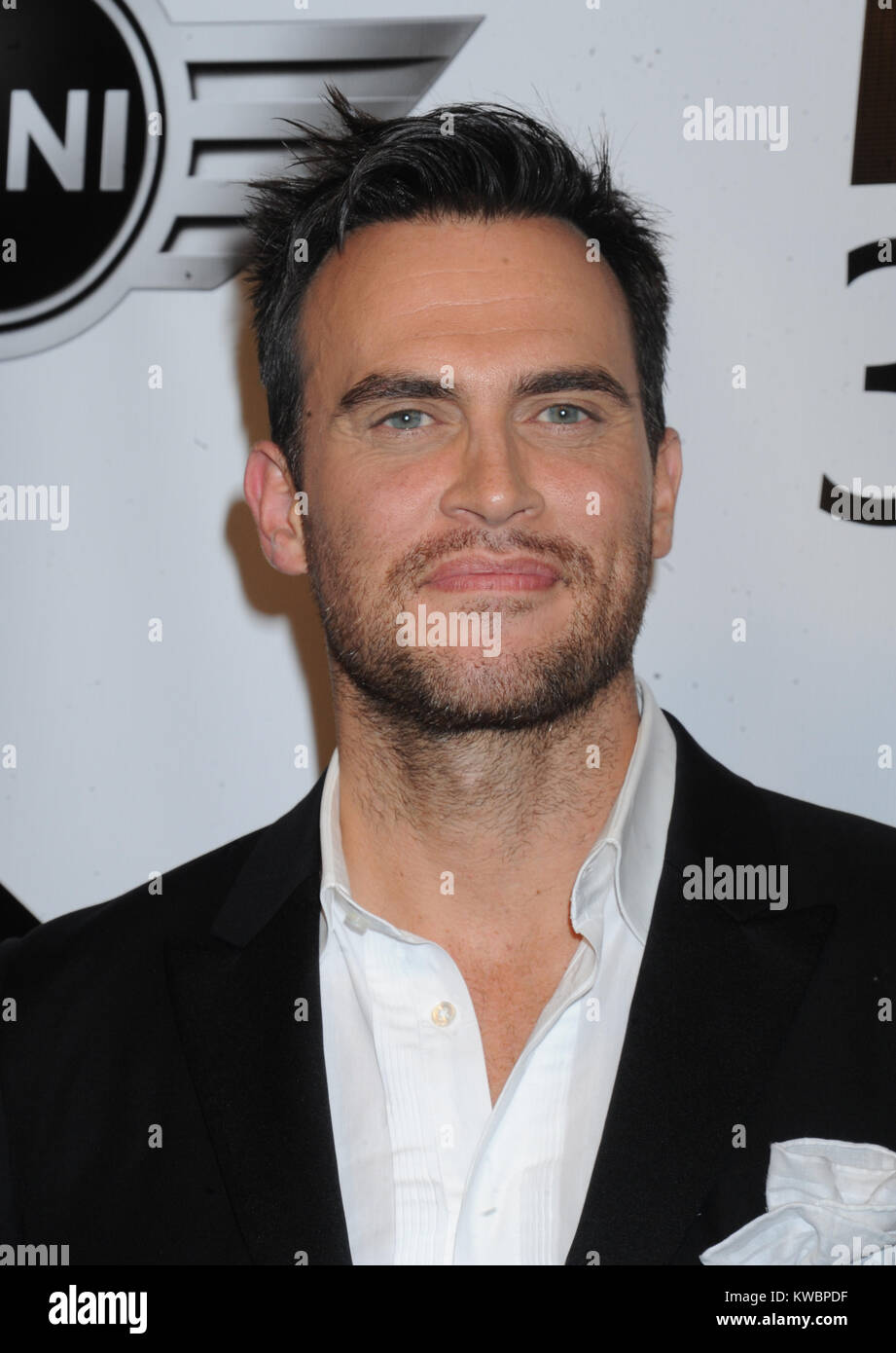 NEW YORK, NY - NOVEMBER 12: Cheyenne Jackson attends The 2014 Emery ...