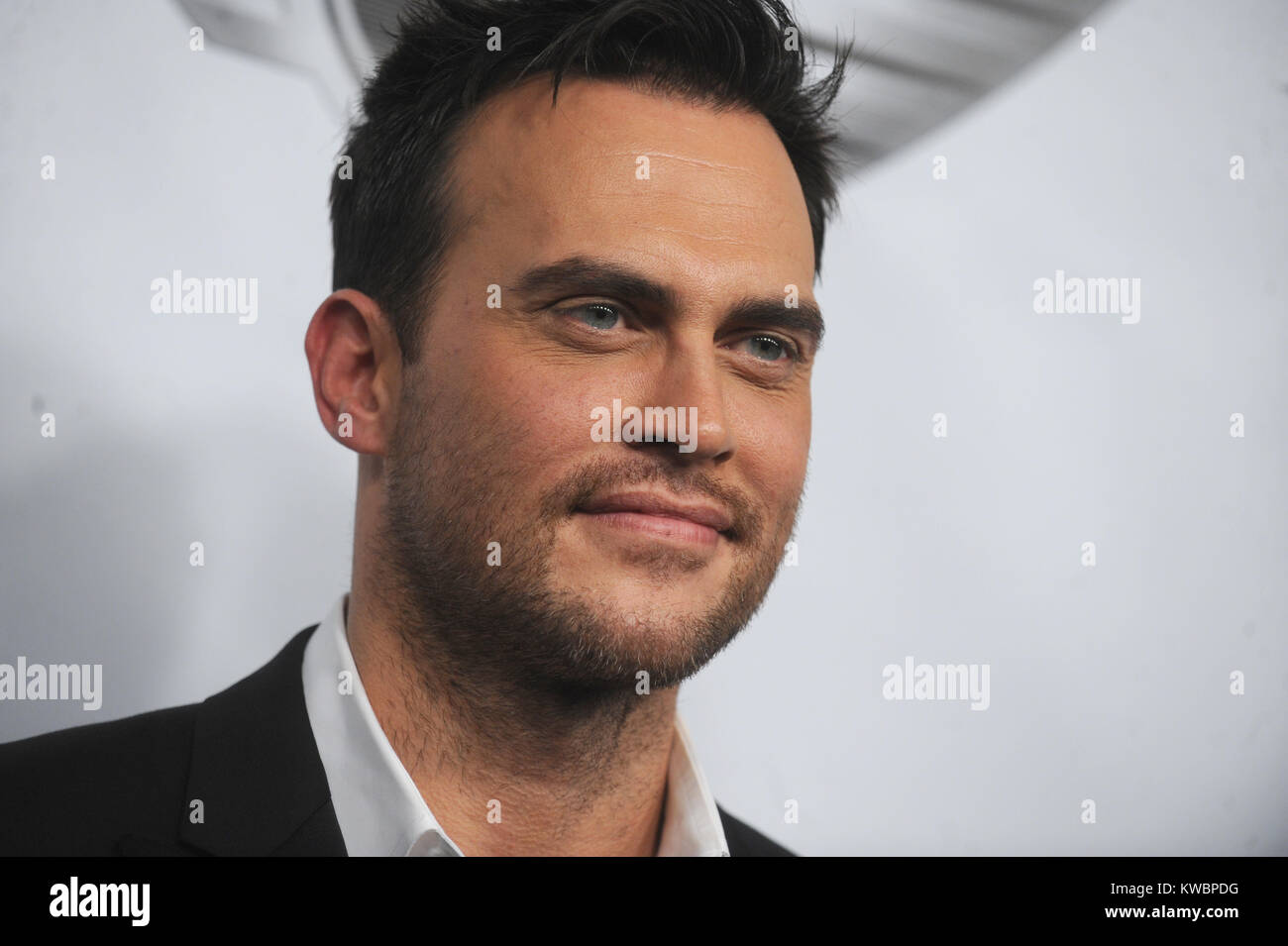NEW YORK, NY - NOVEMBER 12: Cheyenne Jackson attends The 2014 Emery ...