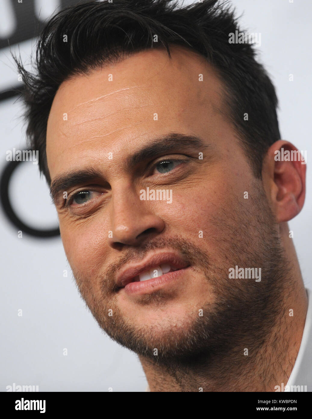 NEW YORK, NY - NOVEMBER 12: Cheyenne Jackson attends The 2014 Emery ...