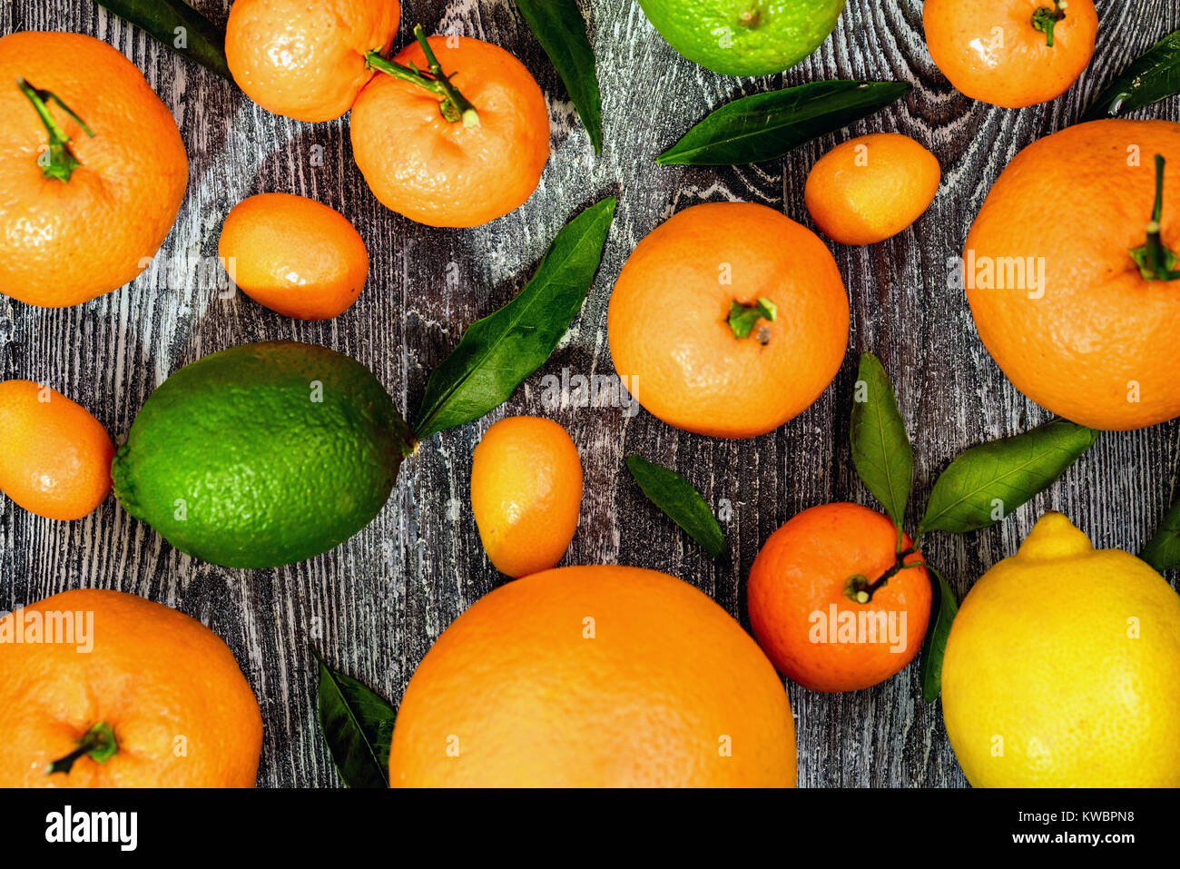 Close-up of various citrus fruits. Top view Stock Photo - Alamy