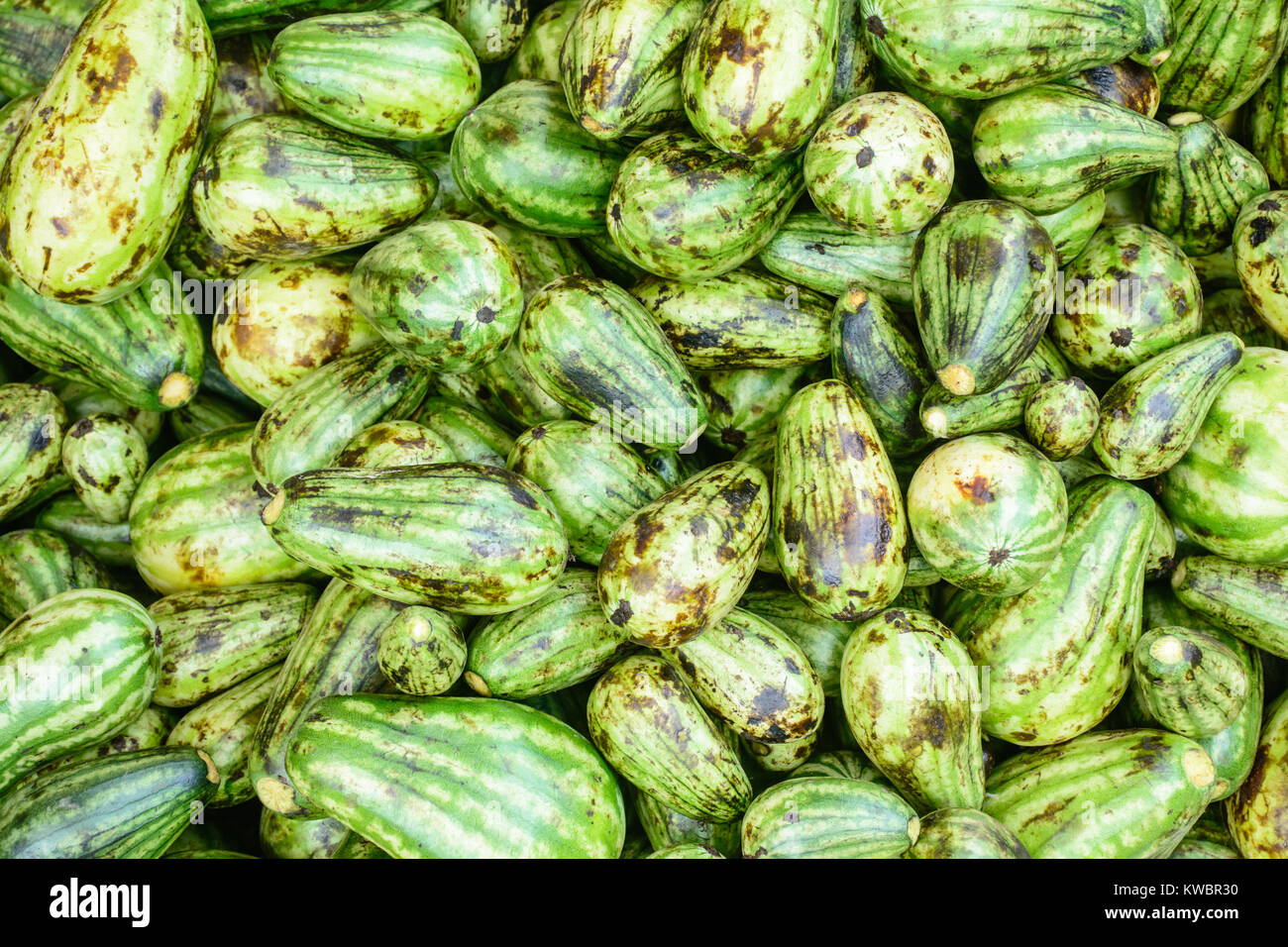 photo of small and fresh watermelon Stock Photo - Alamy