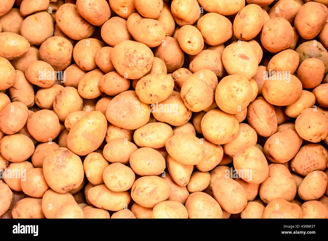 photo of raw material of potato Stock Photo - Alamy