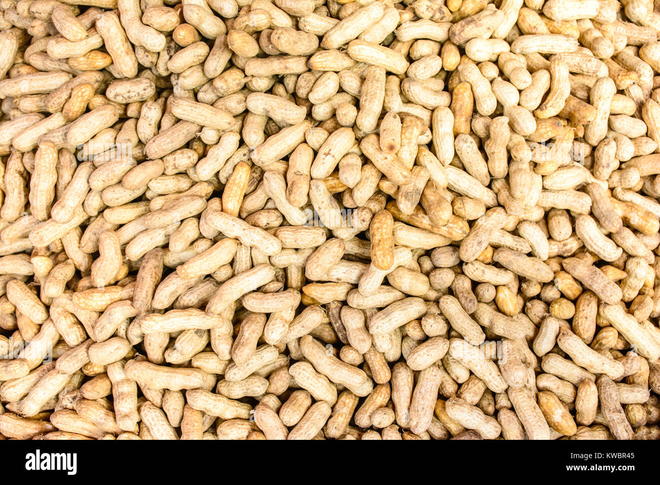 photo of raw material of fresh peanut Stock Photo - Alamy
