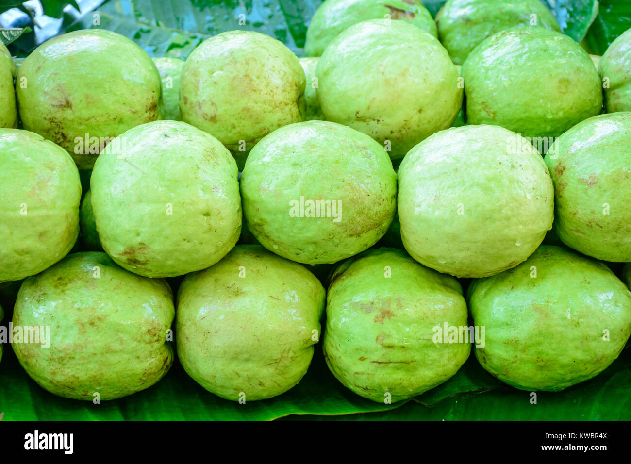 closeup photo of guava Stock Photo - Alamy