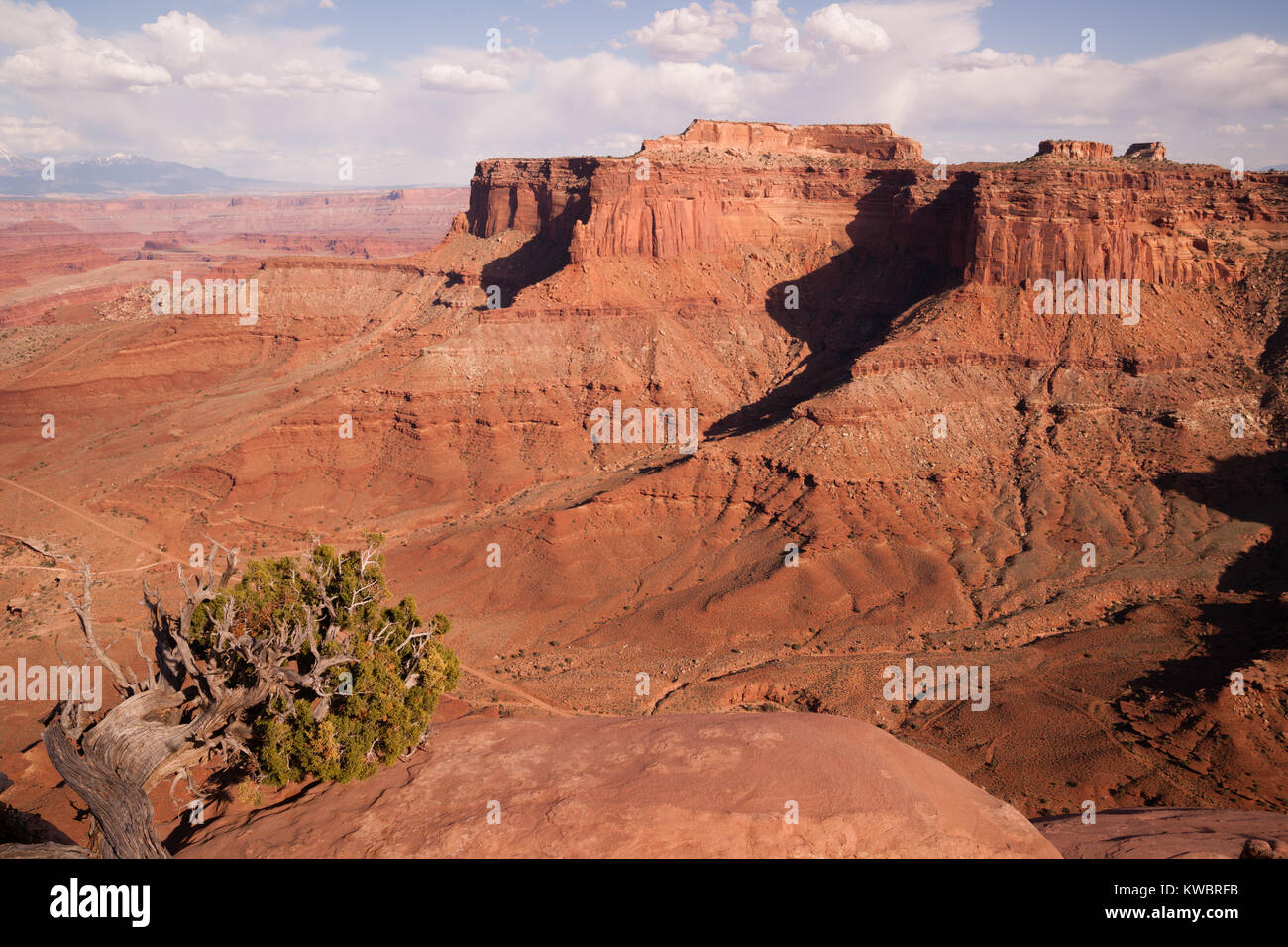 Deep valleys and high buttes cut out by the Colorado River in ...