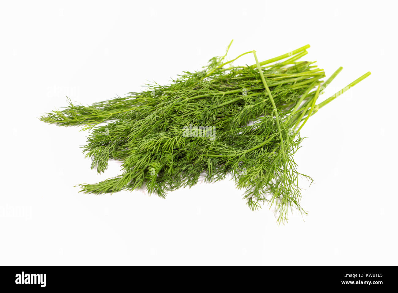 Bunch of fresh dill in close up Stock Photo - Alamy