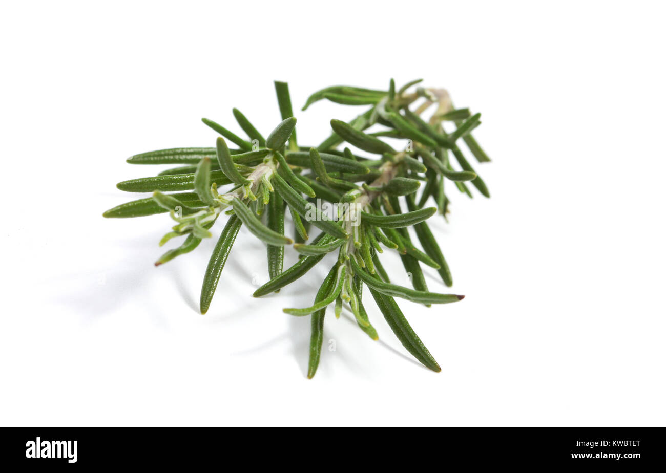 Close up image rosemary Cut Out Stock Images & Pictures - Alamy