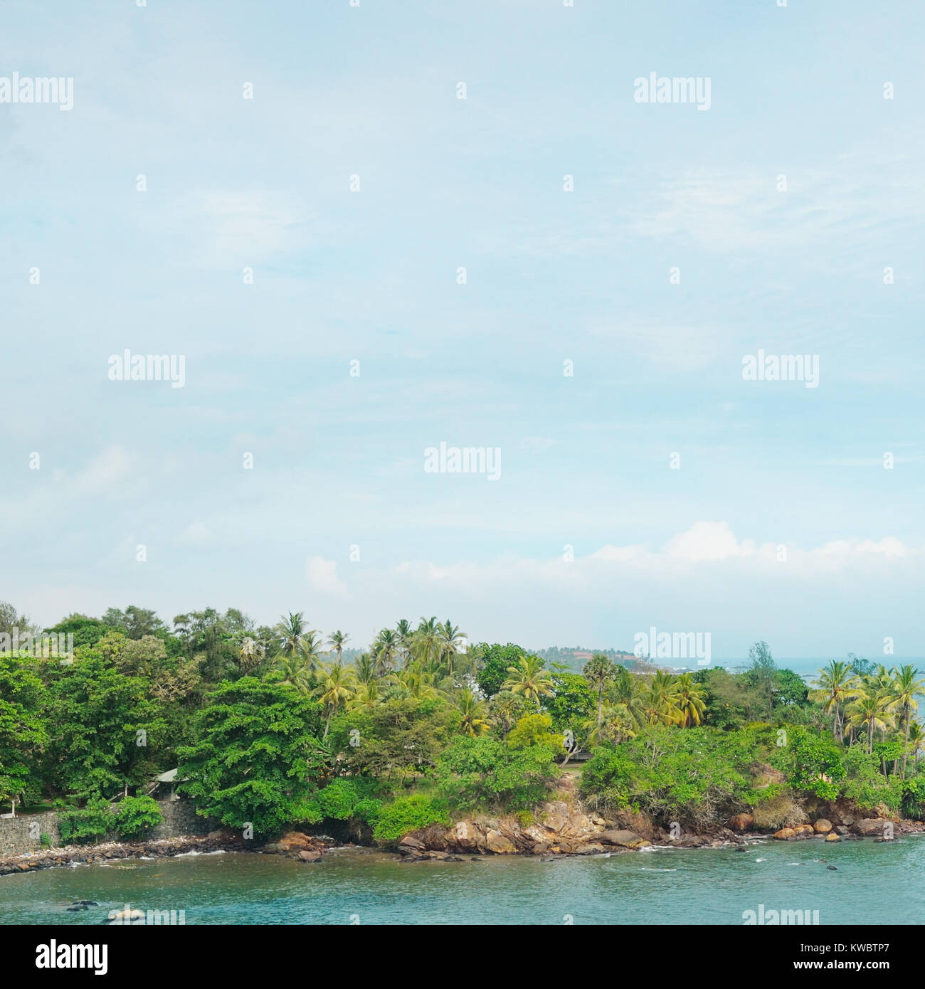 peninsula with tropical palm trees and waterscape Stock Photo - Alamy