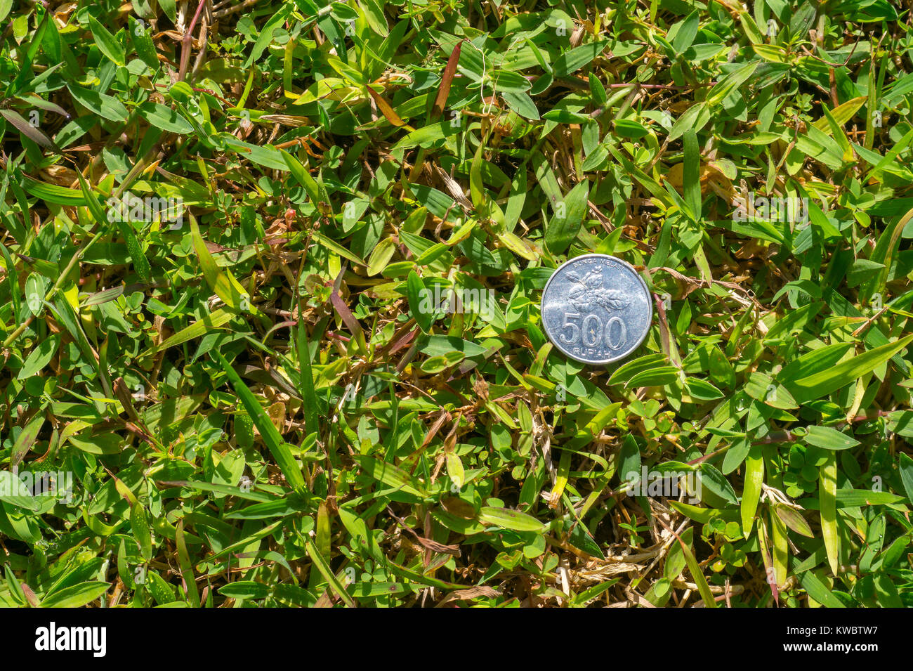 Single five hi-res stock photography and images - Alamy