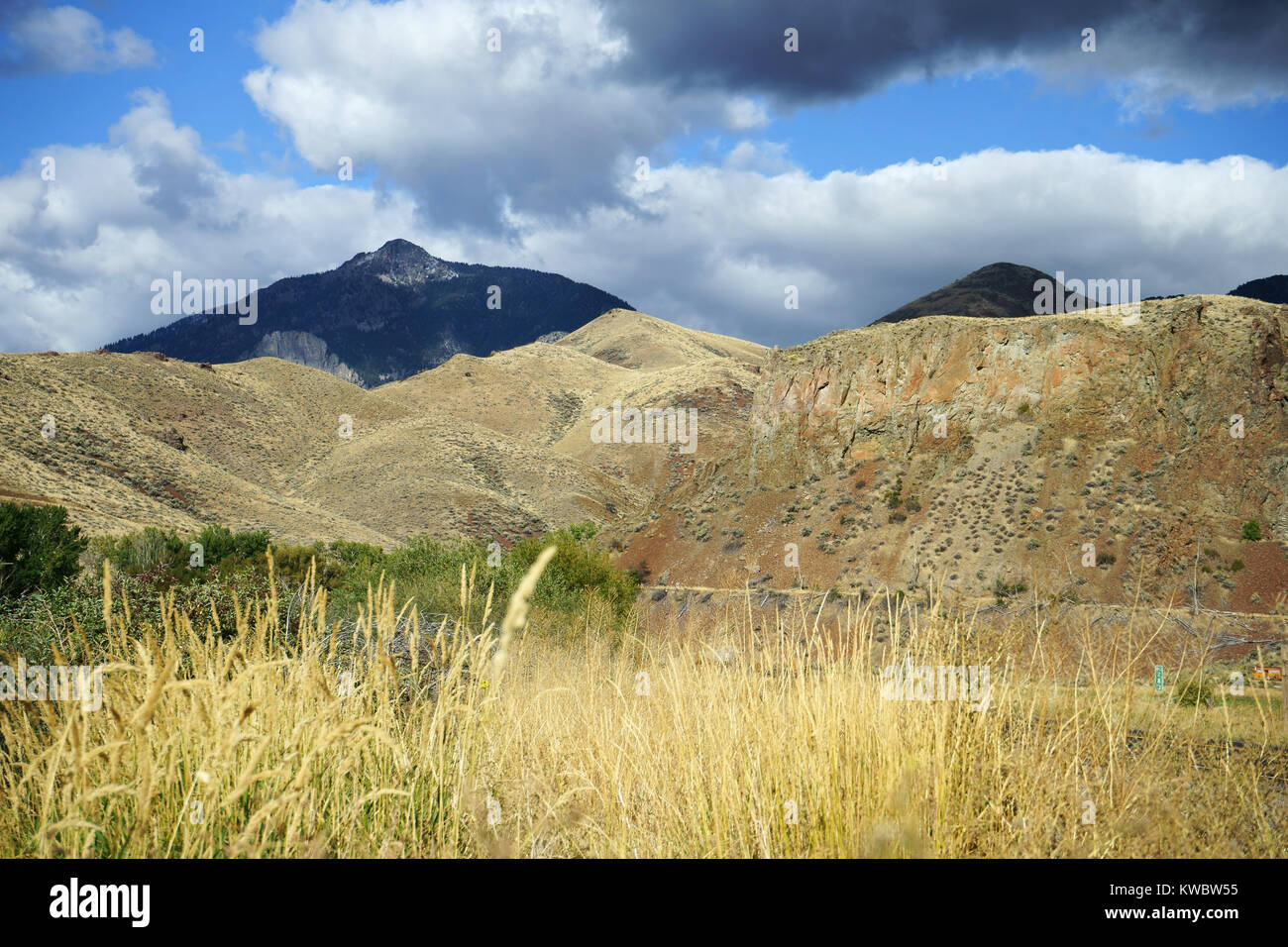 Highway 93 near Hamilton, Bitterroot river valley, Bitterroot Ntl ...
