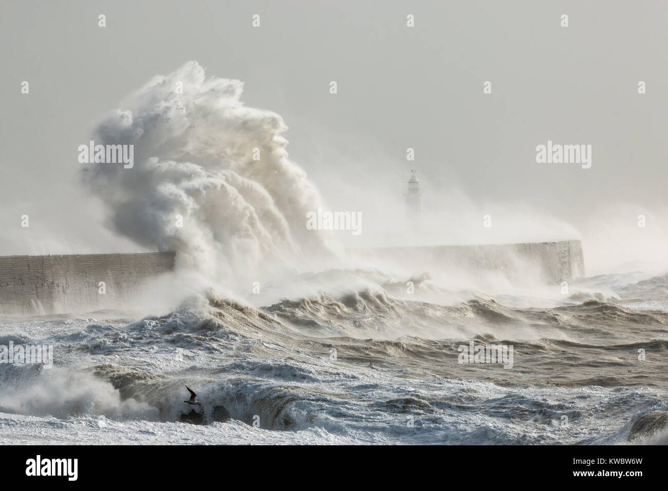 Extreme waves hi-res stock photography and images - Alamy