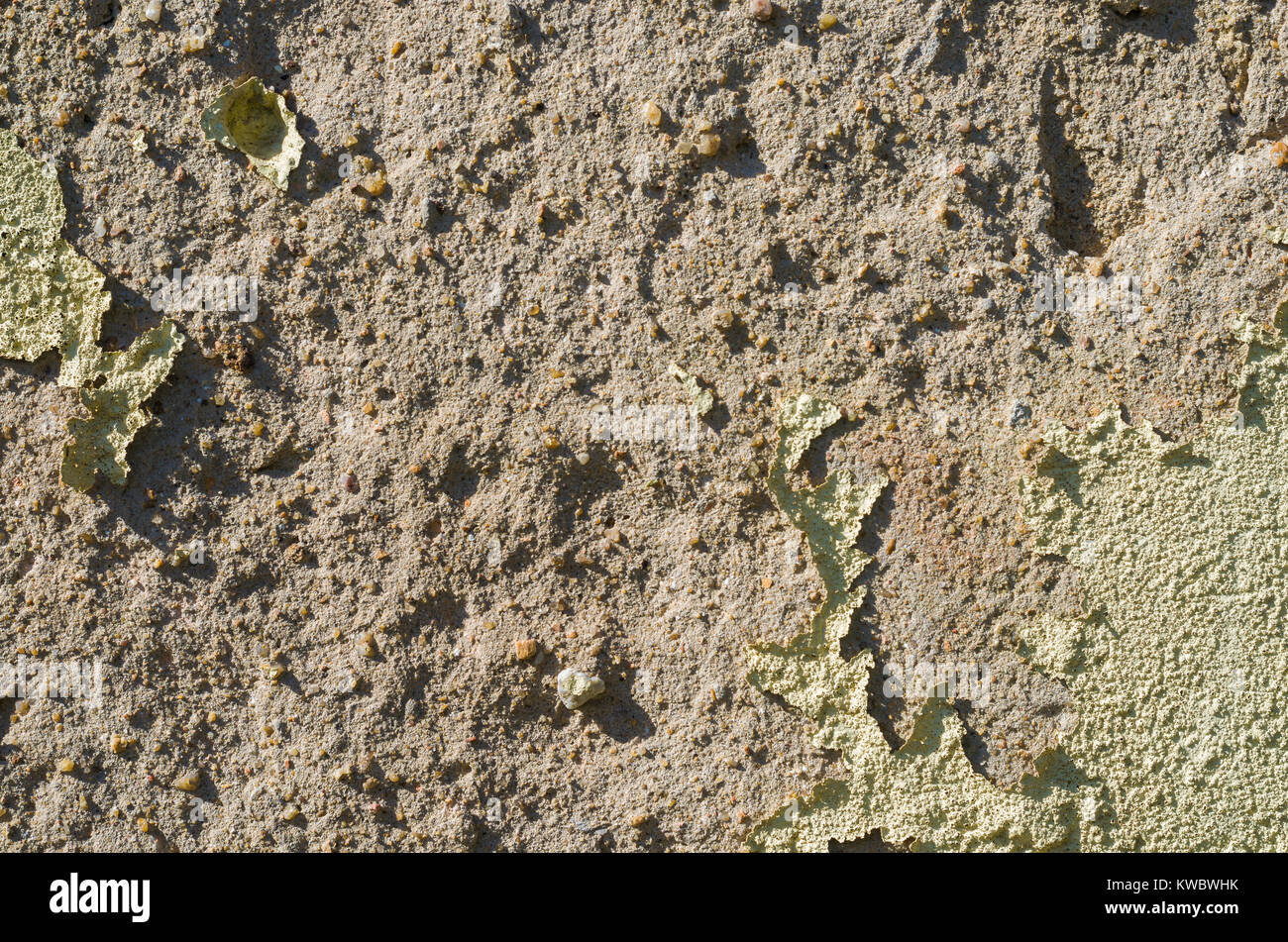 Wall with peeling paint, paint problem. Inadequate paint system, water ...