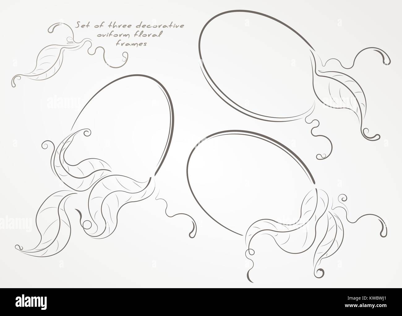 Set of three decorative oviform floral frames with leaves Stock Vector ...