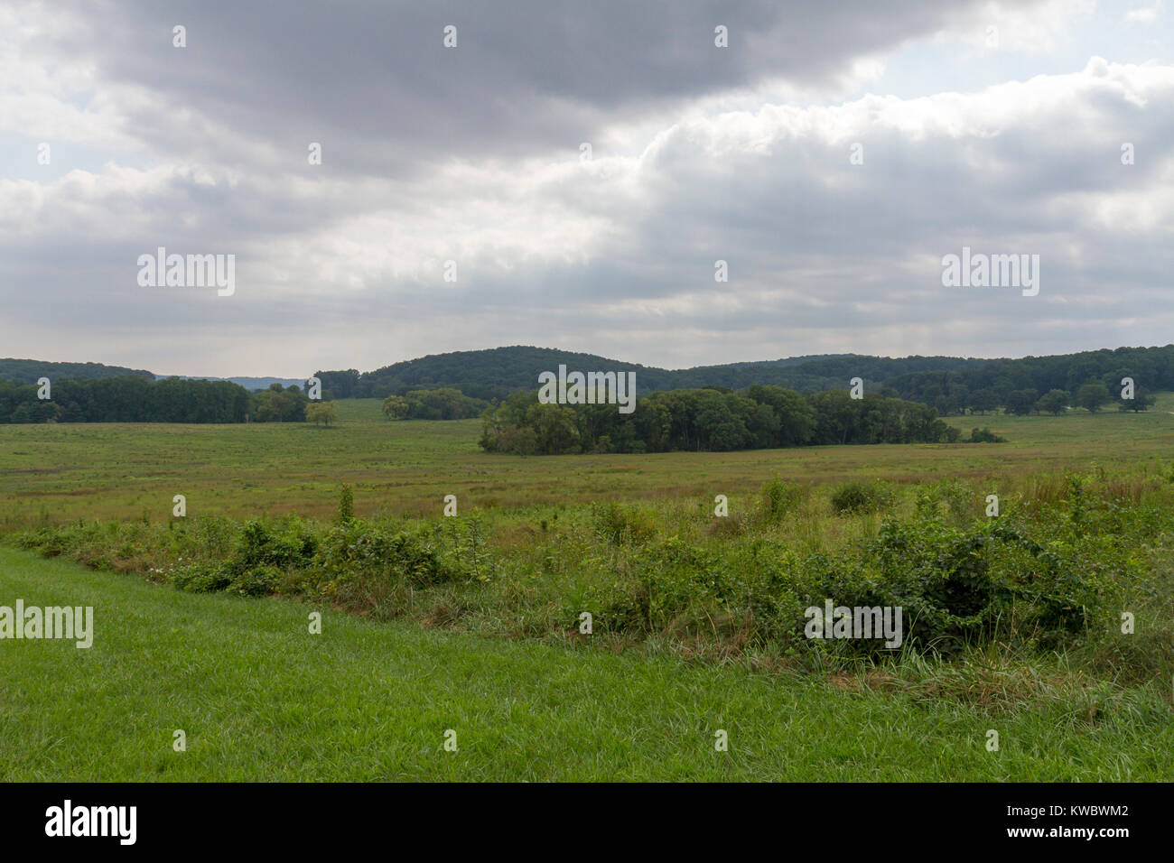 Valley forge george washington hi-res stock photography and images - Alamy