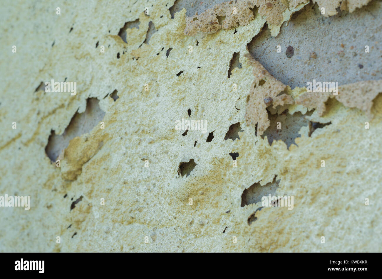 Wall with peeling paint, paint problem. Inadequate paint system, water ...