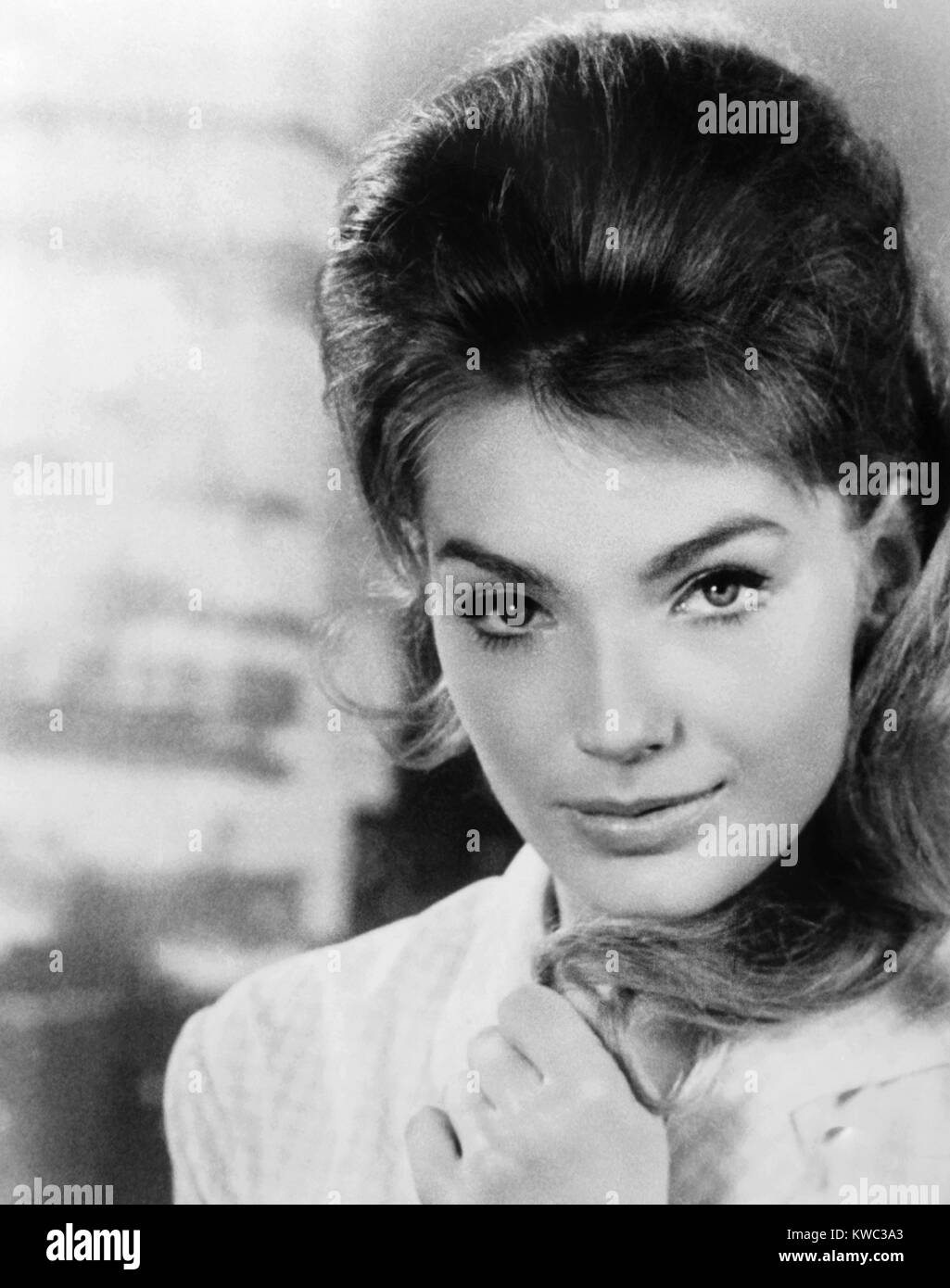 THE PASSWORD IS COURAGE, Maria Perschy, 1962 Stock Photo - Alamy