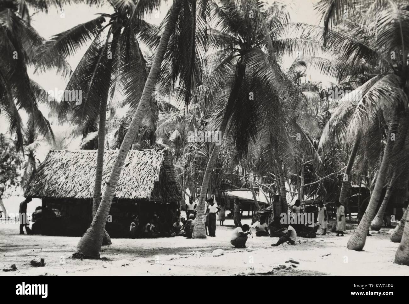 Bikini Islanders near thatched roof building shaded by palm trees, ca ...