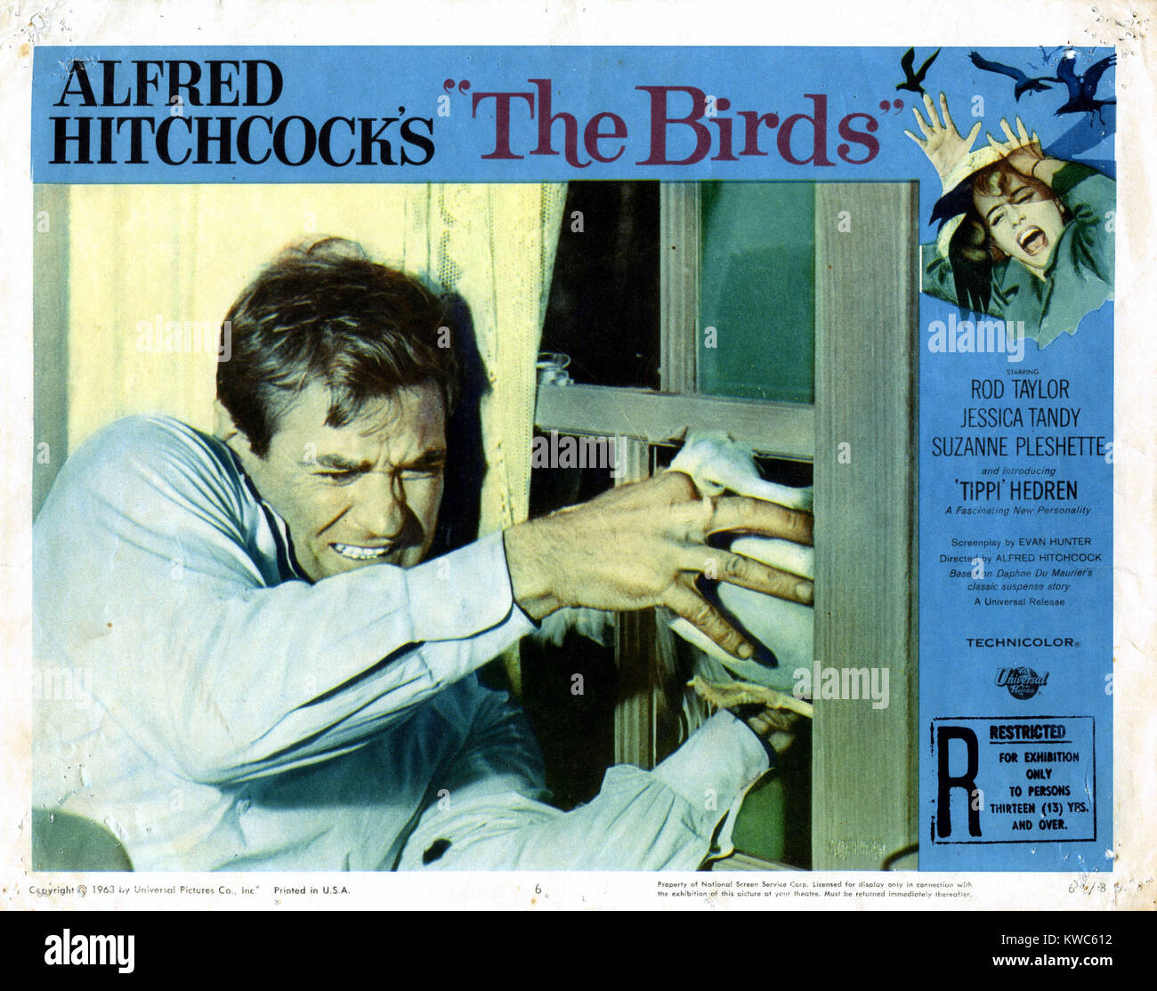 THE BIRDS, Rod Taylor, 1963 Stock Photo - Alamy