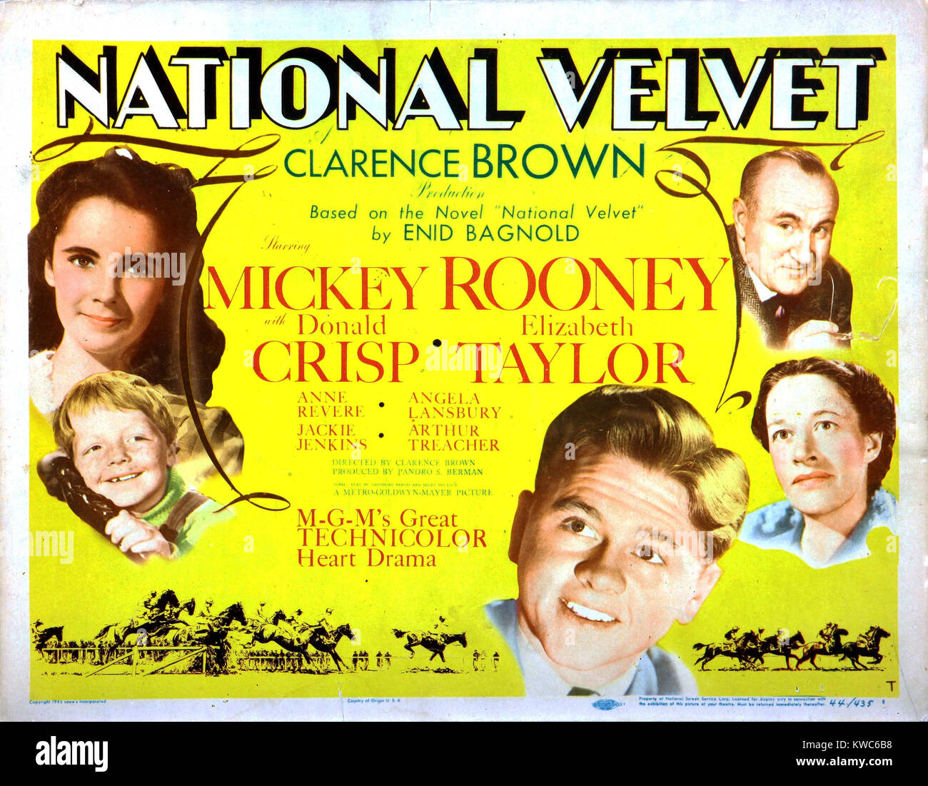 NATIONAL VELVET, Elizabeth Taylor, Butch Jenkins, Mickey Rooney, Donald ...