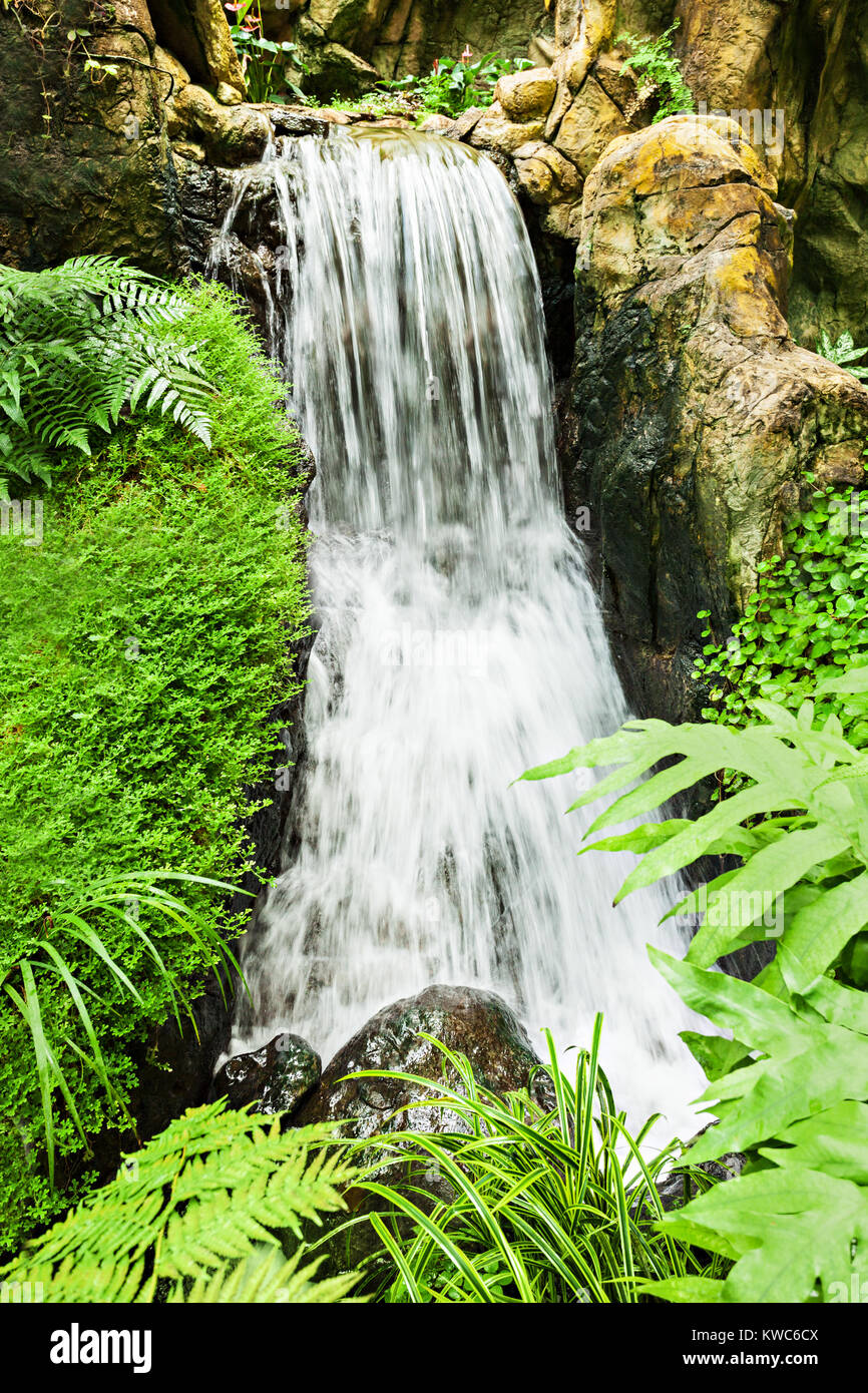 Beauty small waterfall in the deep jungle Stock Photo - Alamy