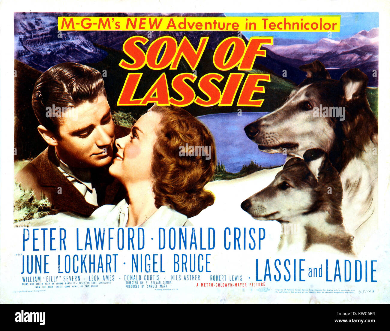 SON OF LASSIE, Peter Lawford, June Lockhart, 1945 Stock Photo - Alamy