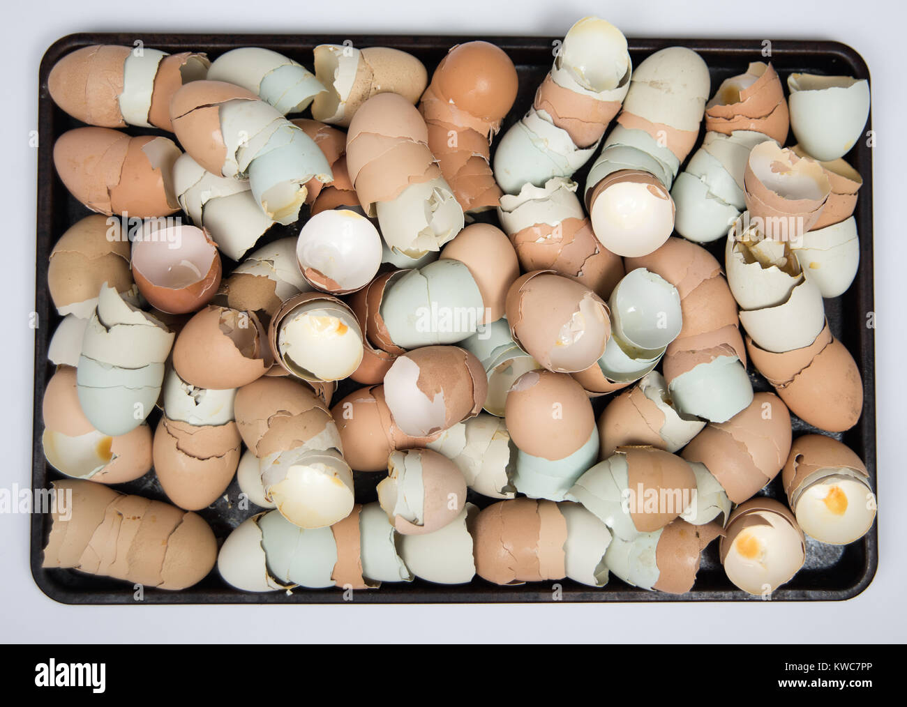 Close Up of Many Broken Eggshells Drying of Various Colors Stock Photo ...