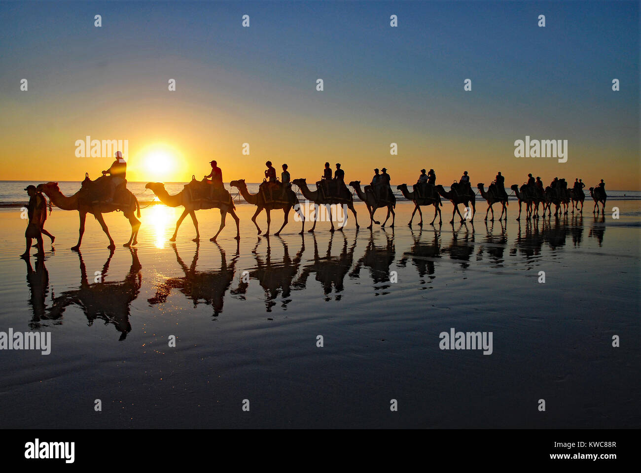 Australia camels hi-res stock photography and images - Alamy