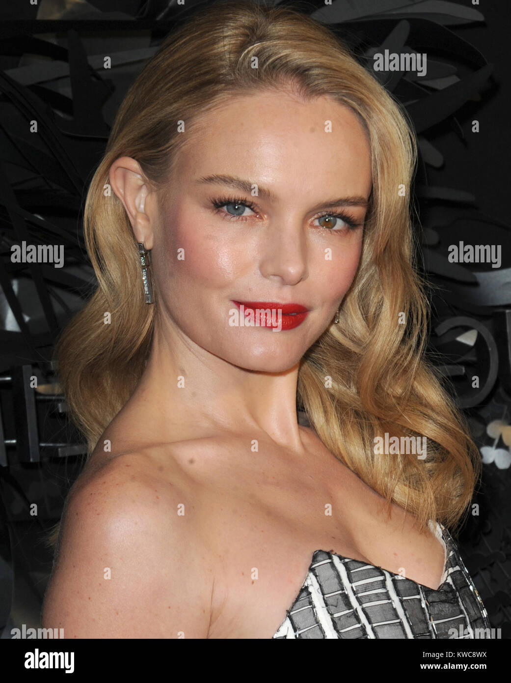 NEW YORK, NY - NOVEMBER 20: Kate Bosworth attends the awarding of the ...