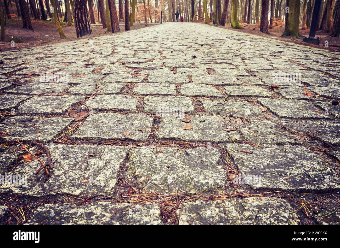 Cobblestone path in a park, close up color toned picture, shallow depth ...