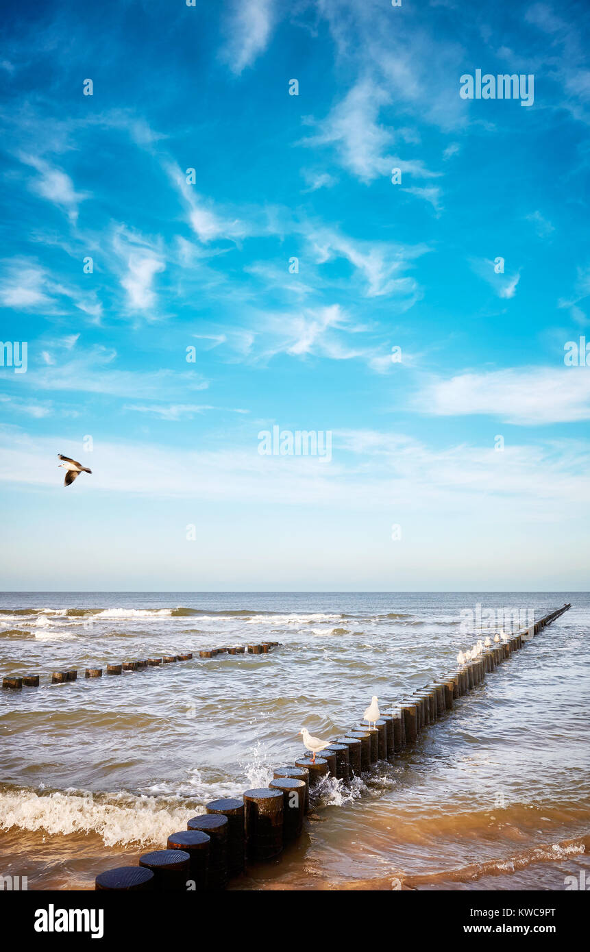 Wooden groyne on the beach hi-res stock photography and images - Alamy