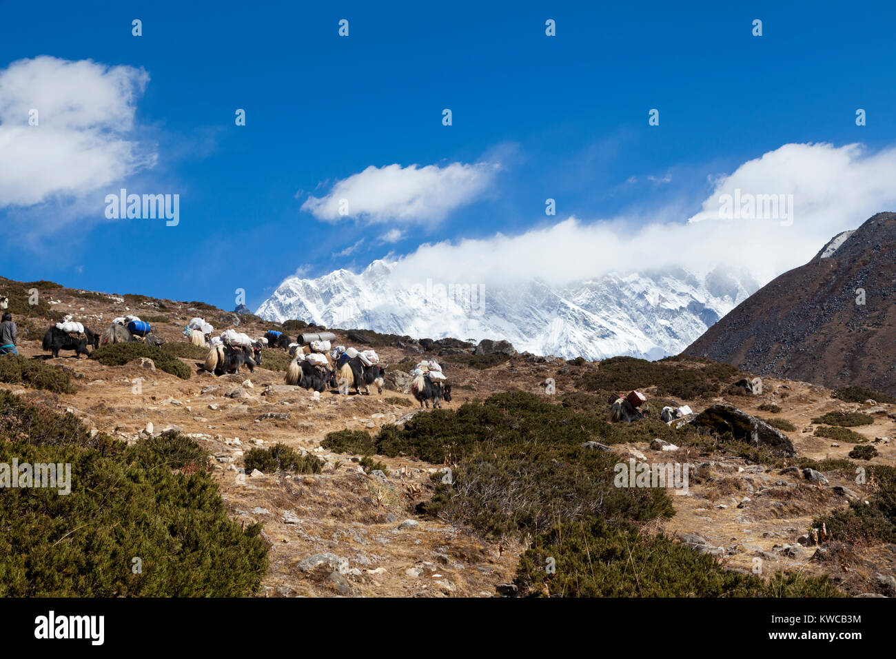 Himalayas, Nepal, 5 Nov 2017 - A tourist trekking to Gorak Shep village ...