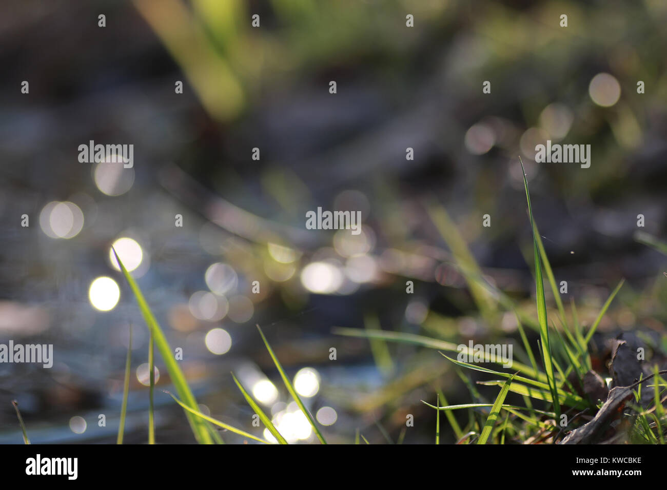 various objects of the spring season in the best of this wonderful ...