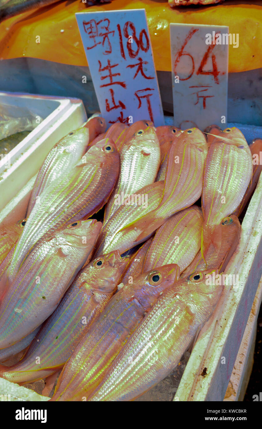 Street food with fresh fish and seafood for sale at Asian market in ...