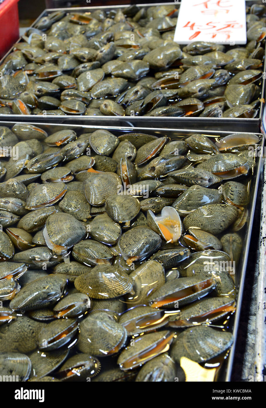 Street food with fresh fish and seafood for sale at Asian market in ...