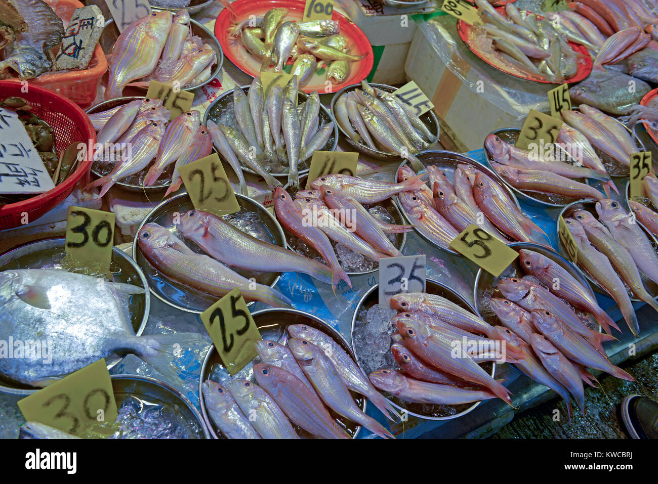 Street food with fresh fish and seafood for sale at Asian market in ...