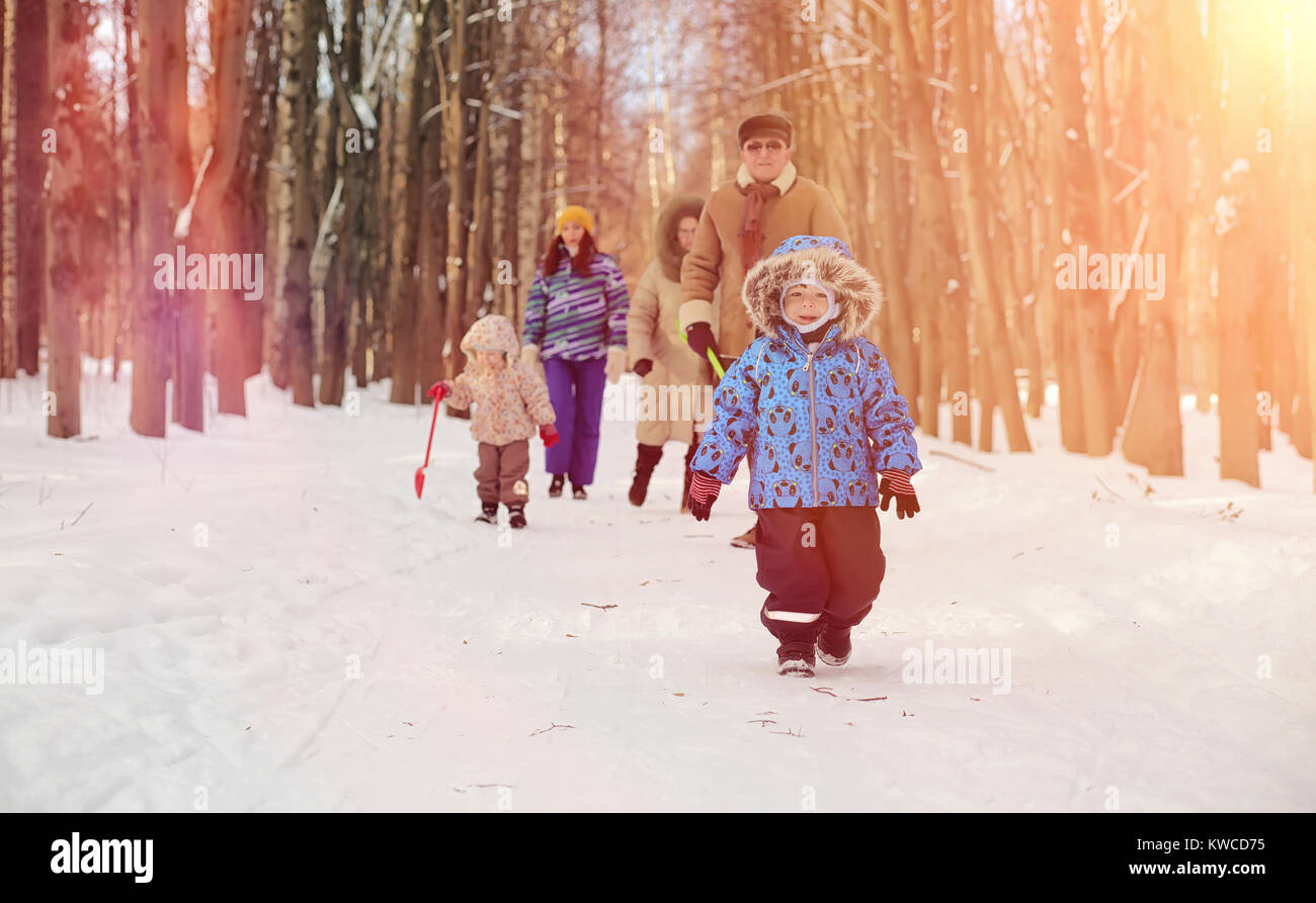 Winter park under the snow. January morning walk through the forest ...